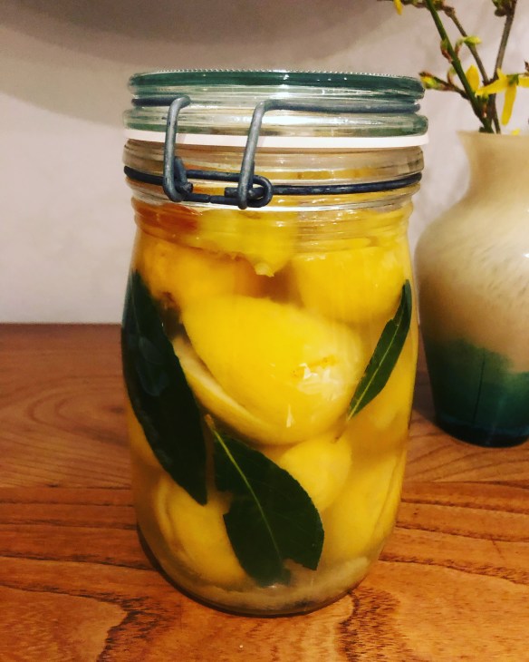 Air-Pot Gardener | Growing better plants with Air-Pot containers.