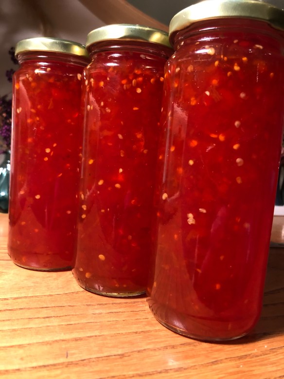 Air-Pot Gardener | Growing better plants with Air-Pot containers.